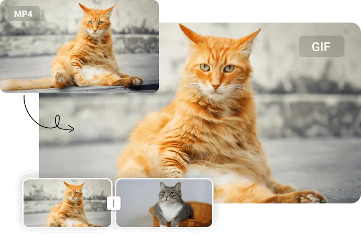 Dividir GIF animado en varios archivos en línea de forma gratuita