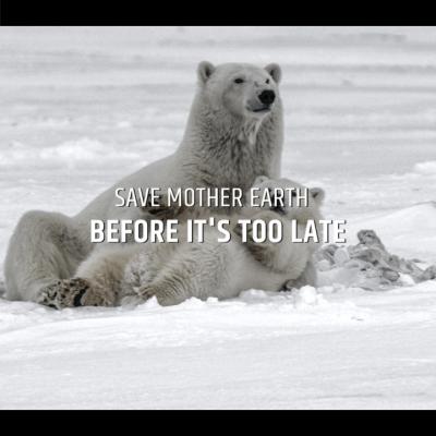 Modèle de vidéo Documentary Intro personnalisable par FlexClip