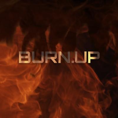 支持自定义的 Fire Reveal Explosive Logo Intro Outro 视频模板 - FlexClip