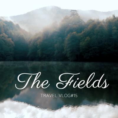 Customizable Forest Travel Vlog Youtube Intro Video Template by FlexClip