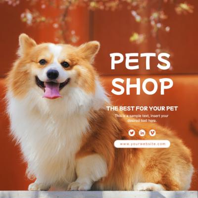 支持自定义的 Pet Shop Care Services Promo 视频模板 - FlexClip